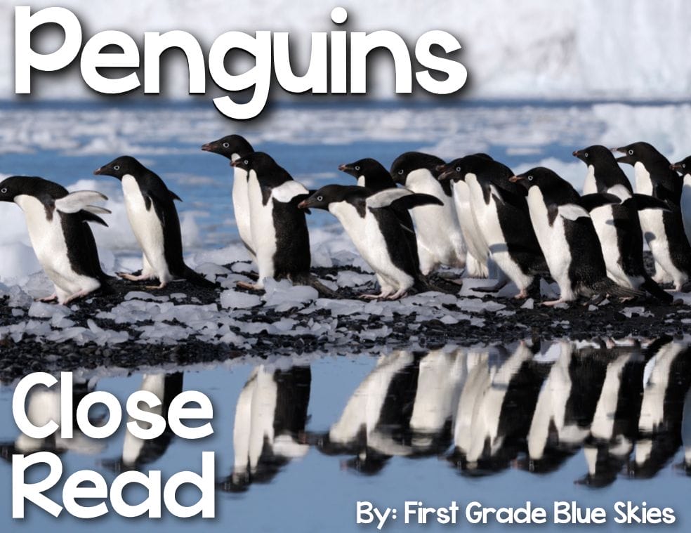 Penguin Close Read