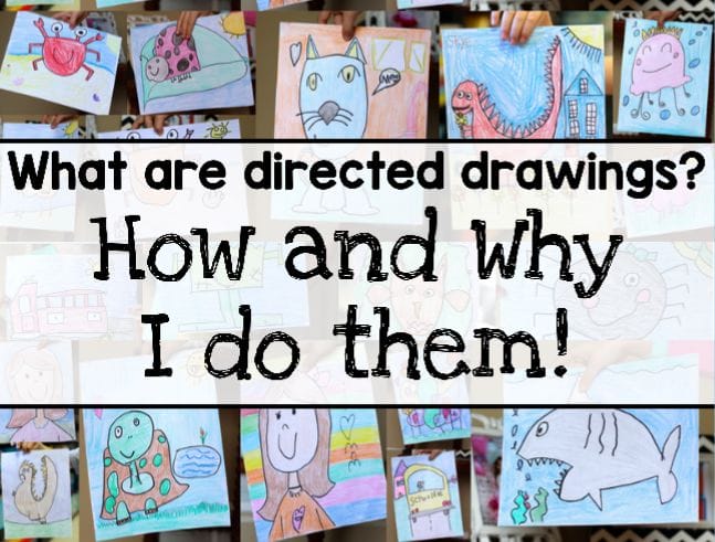 what are Directed Drawings, how, and why I do them
